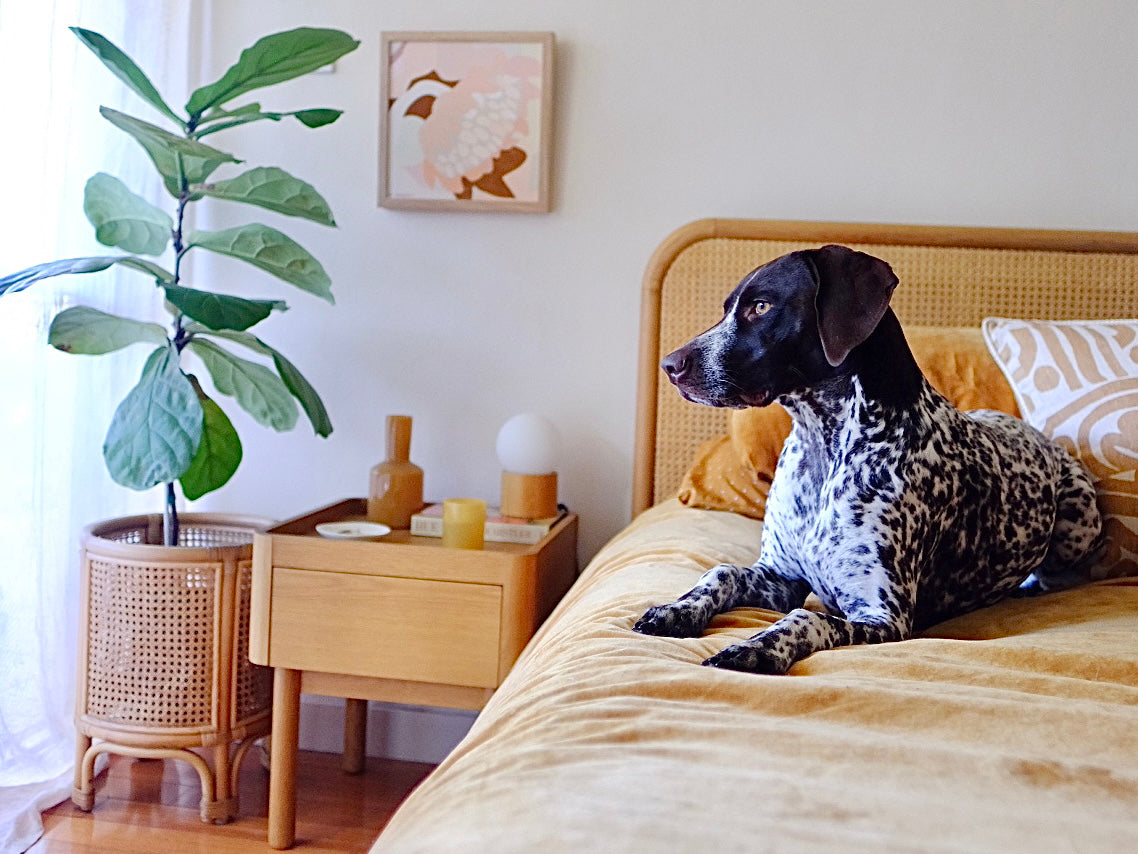 Life At Home – Life Interiors
