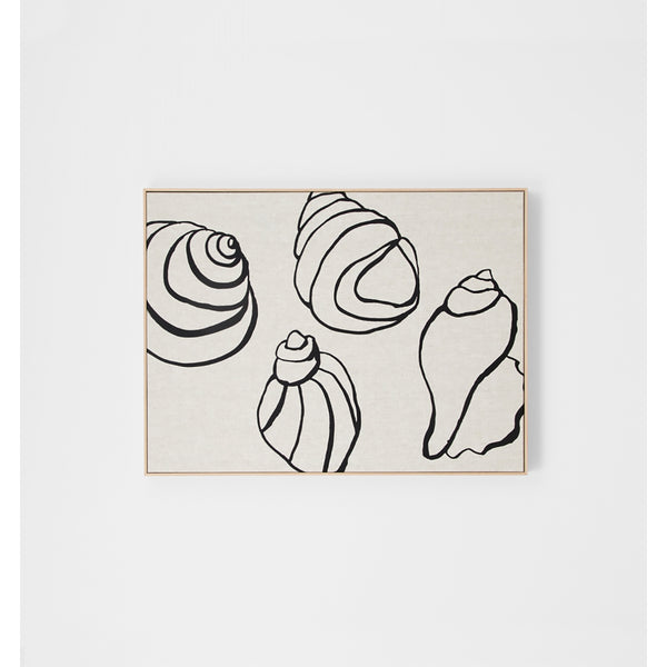 Shell Collection Framed Screenprint – Life Interiors